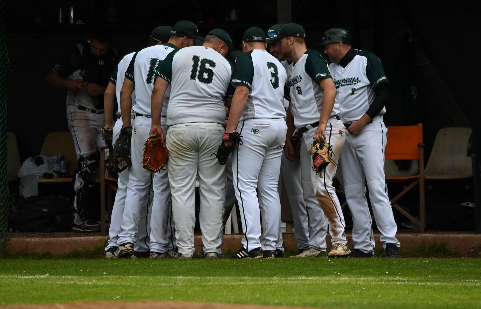 2. Baseball-Bundesliga: Wuppertal Stingrays mischen oben kräftig mit