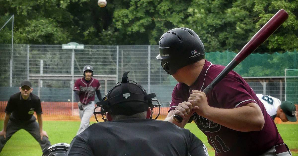 2. Baseball-Bundesliga: Wuppertal Stingrays punkten weiter
