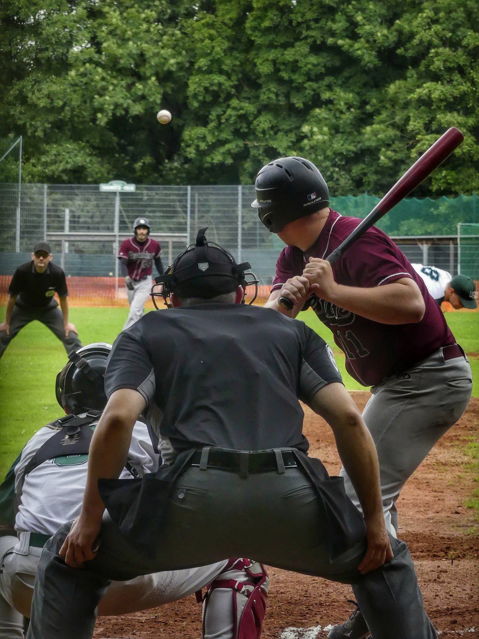 2. Baseball-Bundesliga: Wuppertal Stingrays punkten weiter