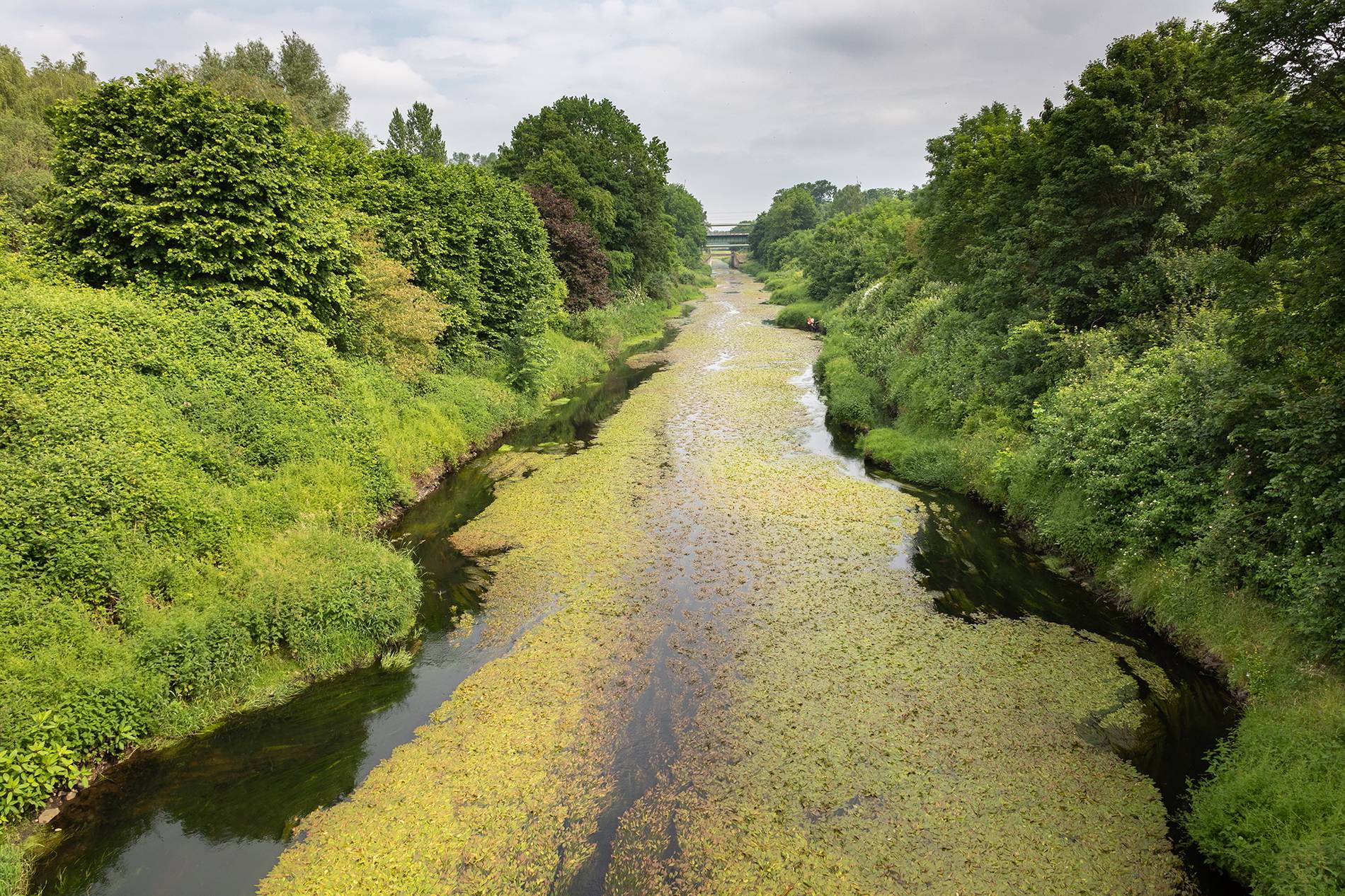 Die Emscher - Wanderung an einem rekonvaleszenten Fluss