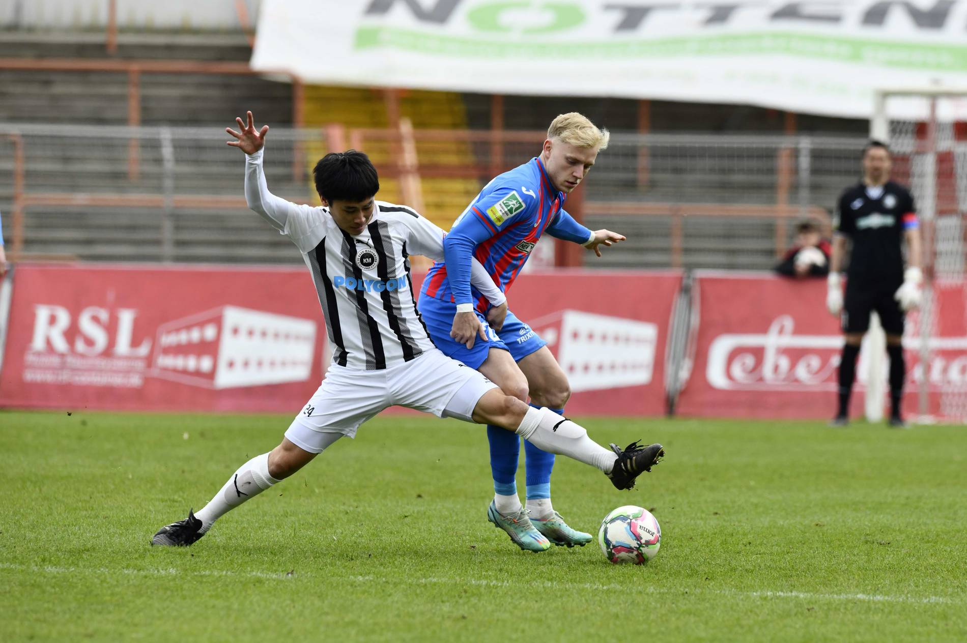 Fußball-RL: Nächste Vertragsverlängerungen beim WSV in Sicht