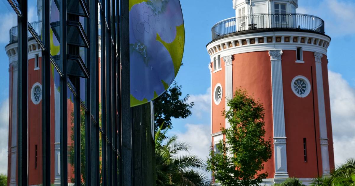 Pilz-Beratung, Elisenturm und Lachyoga auf der Hardt