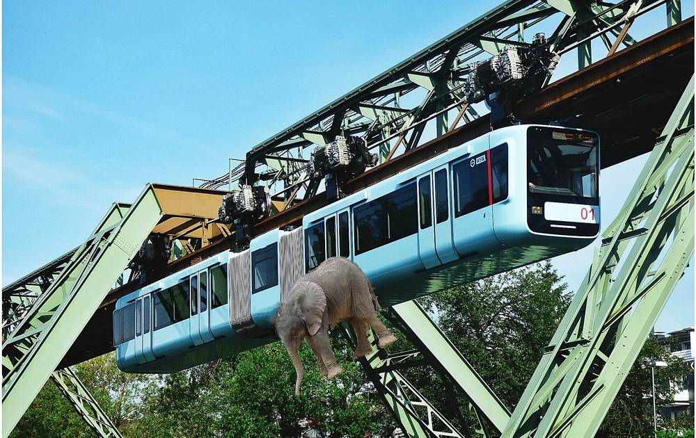 Leser-Foto: Tuffi-Sprung 2017